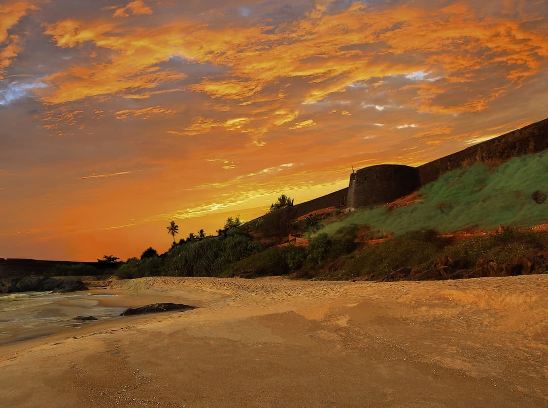 Business | INVIS | ICT Solutions | Multimedia Content | Sustainable Living