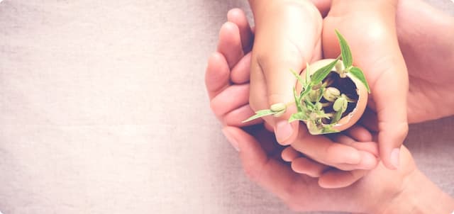 INVIS | ICT Solutions | Multimedia Content | Sustainable Living